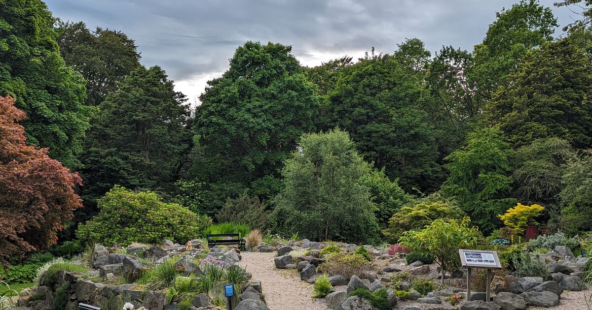 The PLANTS project: Leith Hall’s Rock… | National Trust for Scotland