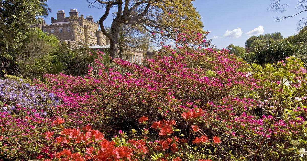 Best gardens in Scotland | National Trust for Scotland