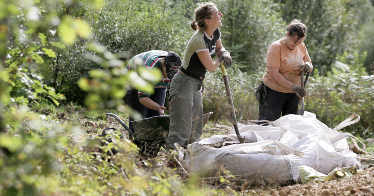 Volunteering variety | National Trust for Scotland