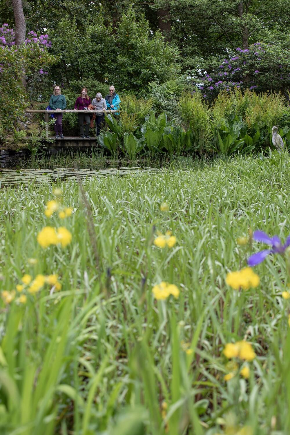 Lower garden | National Trust for Scotland