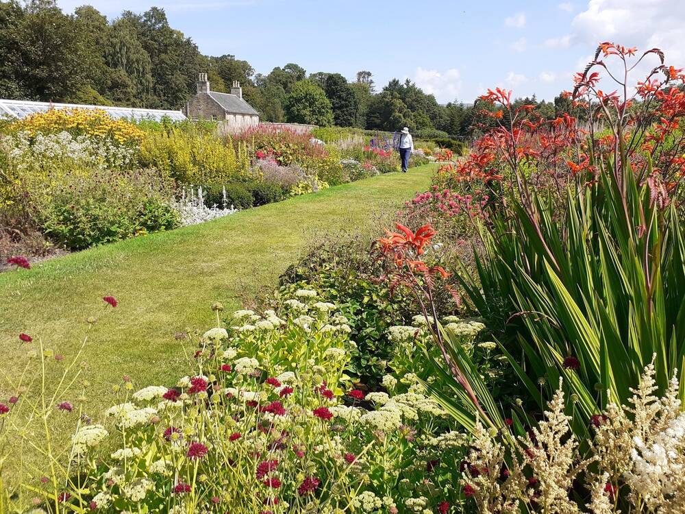 The PLANTS project: 10 reflections | National Trust for Scotland