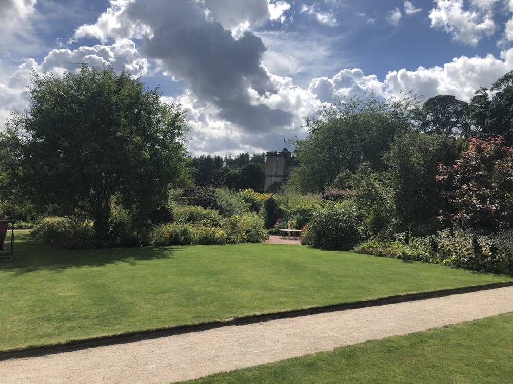 The PLANTS project: 10 reflections | National Trust for Scotland