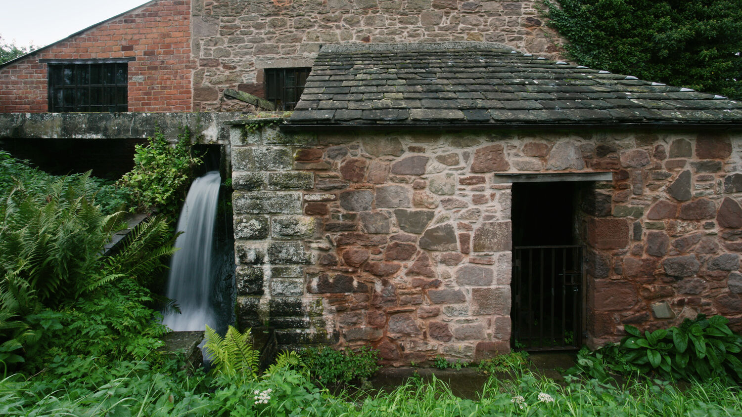 Dundee & Angus | National Trust for Scotland