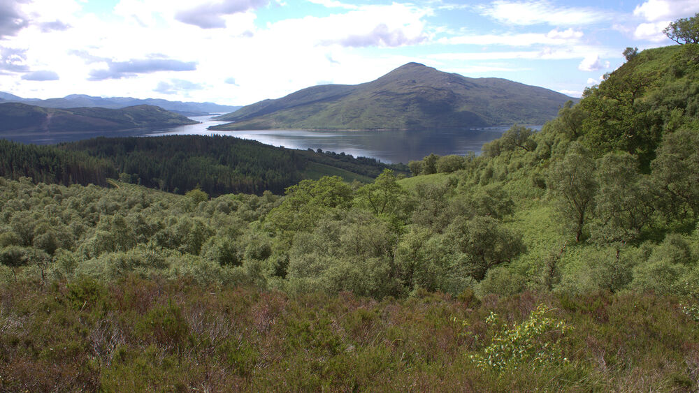 Walks | National Trust for Scotland