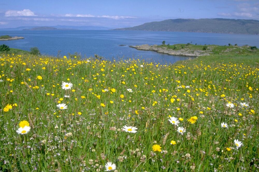 Walks | National Trust for Scotland