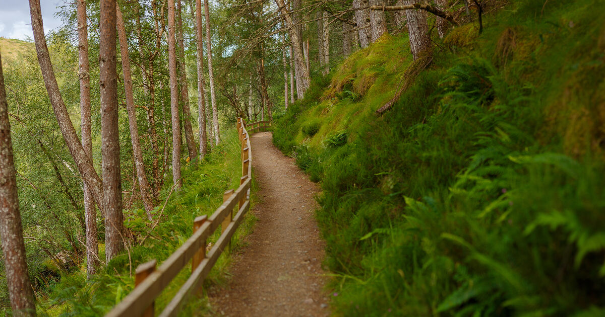 Walks | National Trust for Scotland