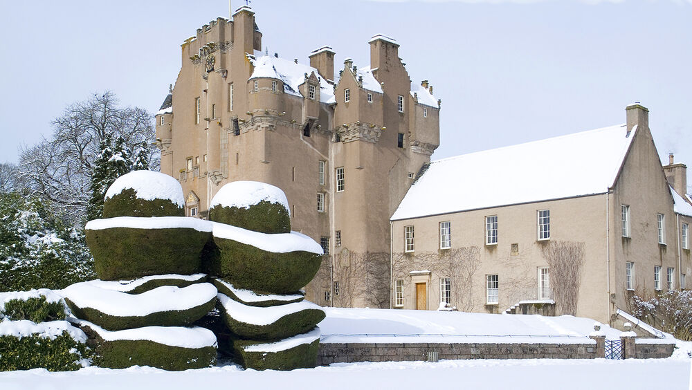 The 12 Plants of Christmas | National Trust for Scotland