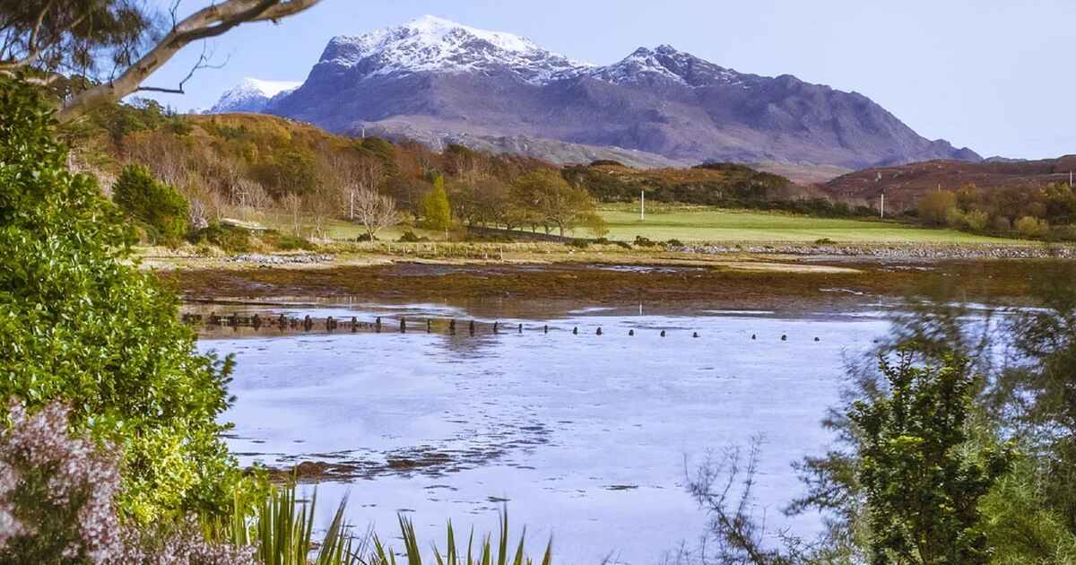 Exploring the depths of Inverewe’s… | National Trust for Scotland
