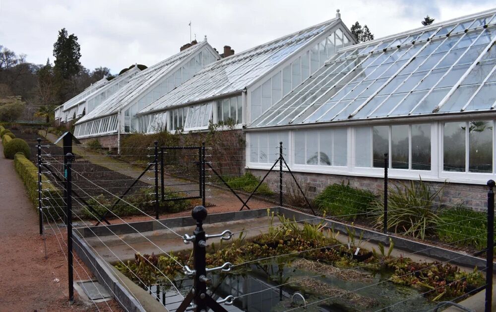 Crathes Garden blog #12: A Victorian… | National Trust for Scotland
