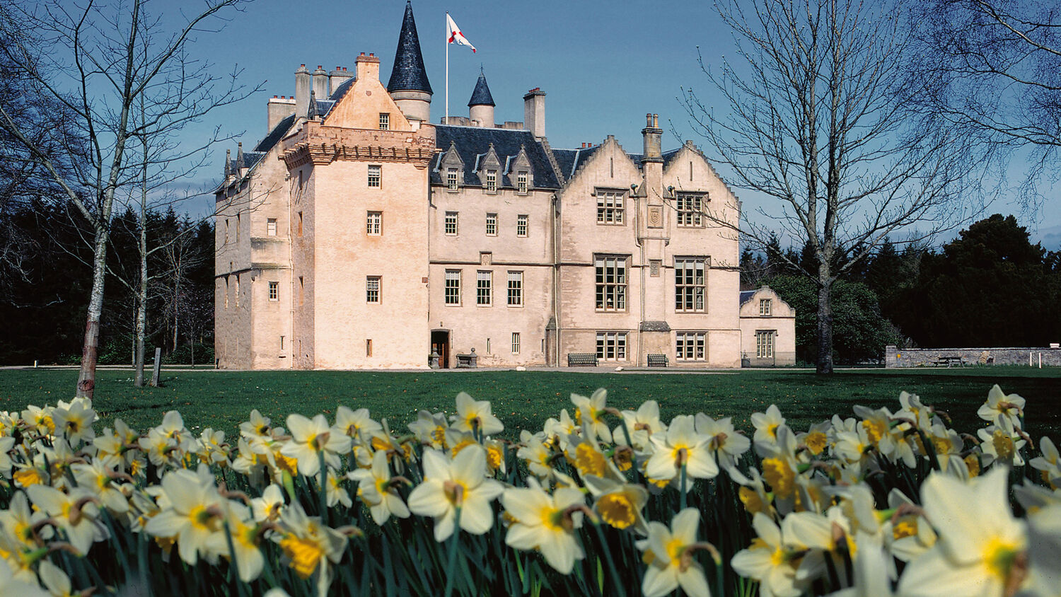 Brilliant plans at Brodie | National Trust for Scotland