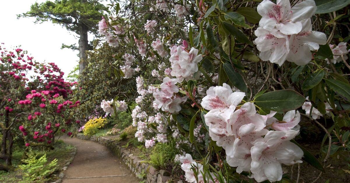 Days out in spring | National Trust for Scotland