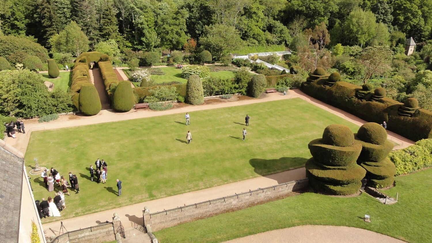 Restoration of the topiary yew hedges… | National Trust for Scotland