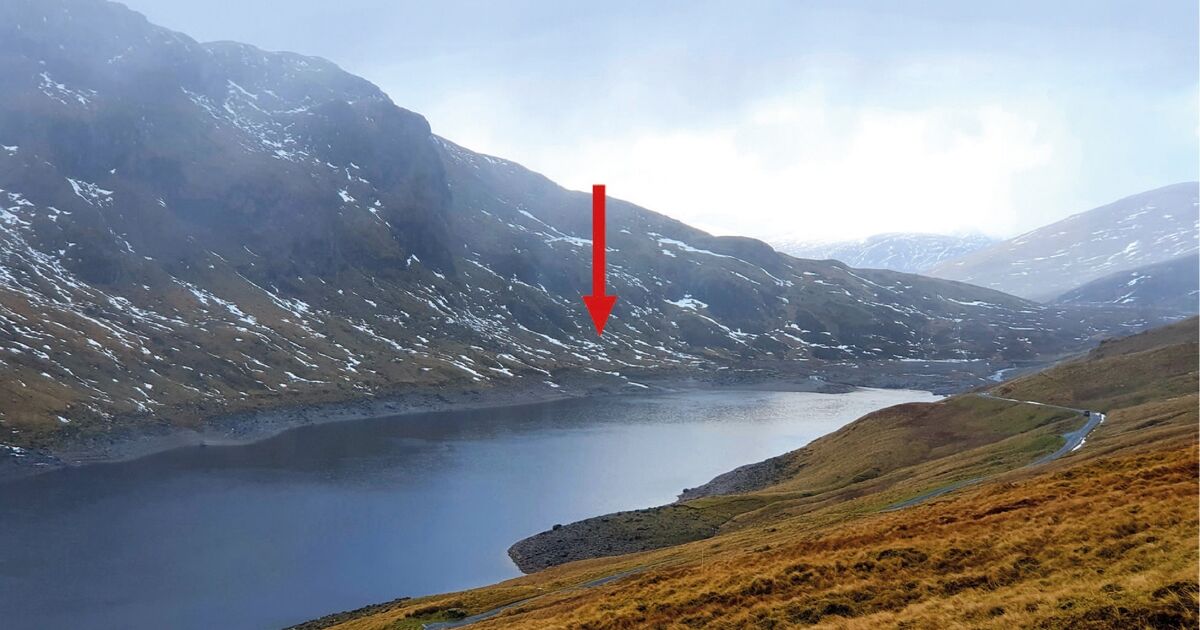 A high pollen count | National Trust for Scotland