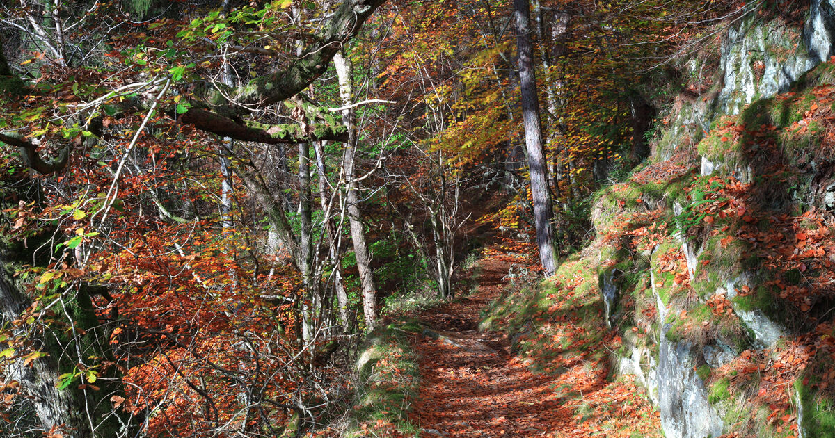 Highlights of the season | National Trust for Scotland