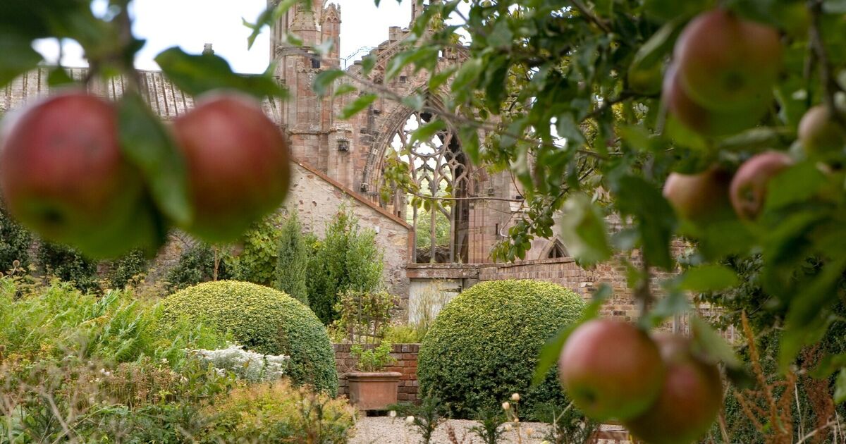A-peel-ing orchards | National Trust for Scotland