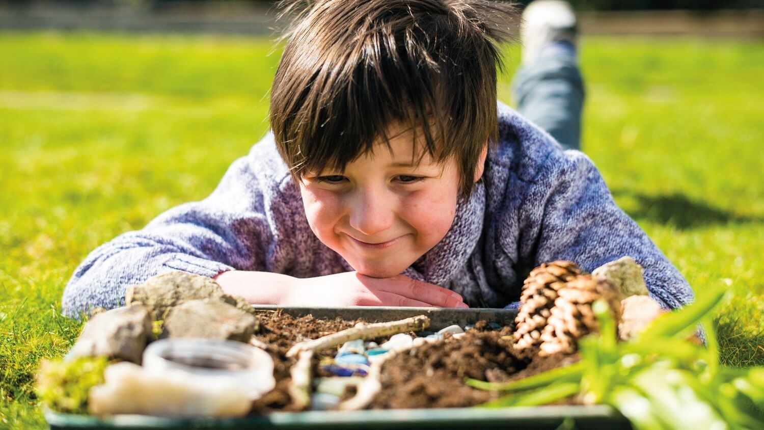 Make your own miniature nature reserve | National Trust for Scotland