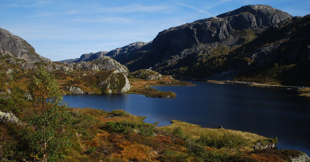 Scotland’s missing habitat – restoring… | National Trust for Scotland