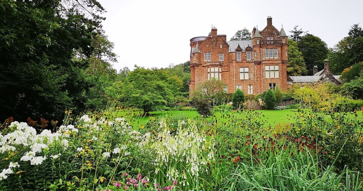 Highlight plants at Threave Garden in… | National Trust for Scotland