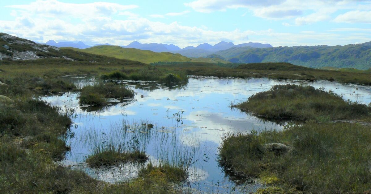 Peat bogs: windows to the past –… | National Trust for Scotland