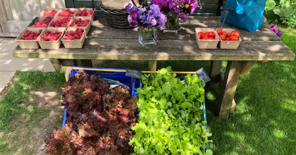 National Gardening Week | National Trust for Scotland