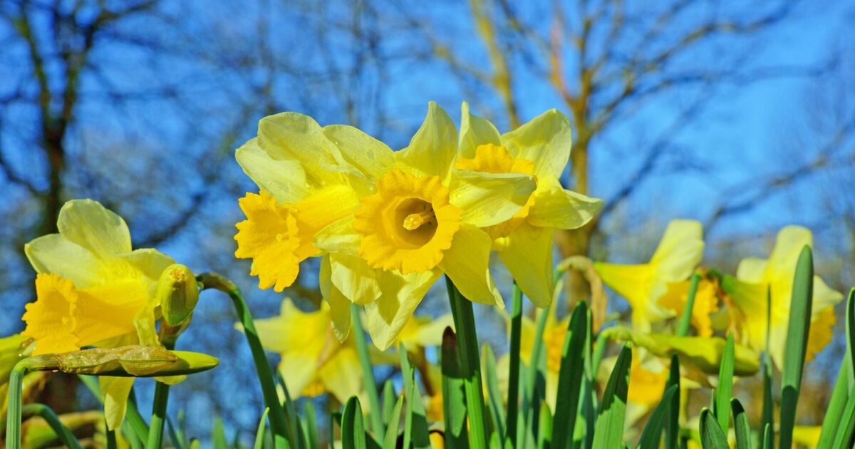 Easter in Scotland | National Trust for Scotland