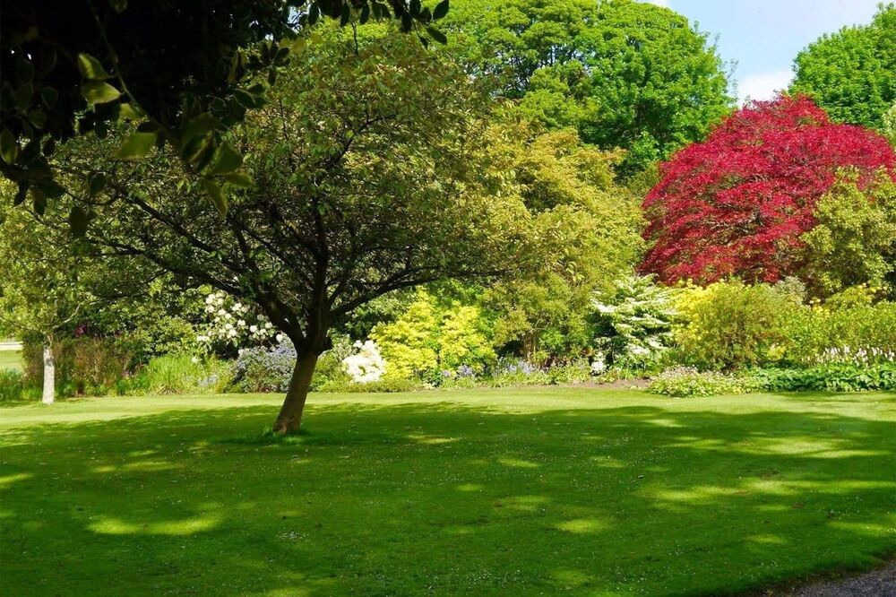 Scottish Tree Festival 2019 | National Trust for Scotland