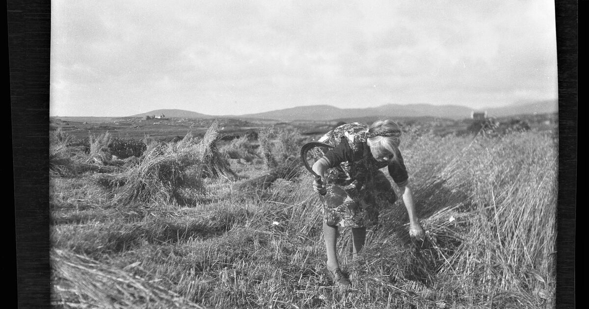 Hebridean female crofters – in sharp… | National Trust for Scotland
