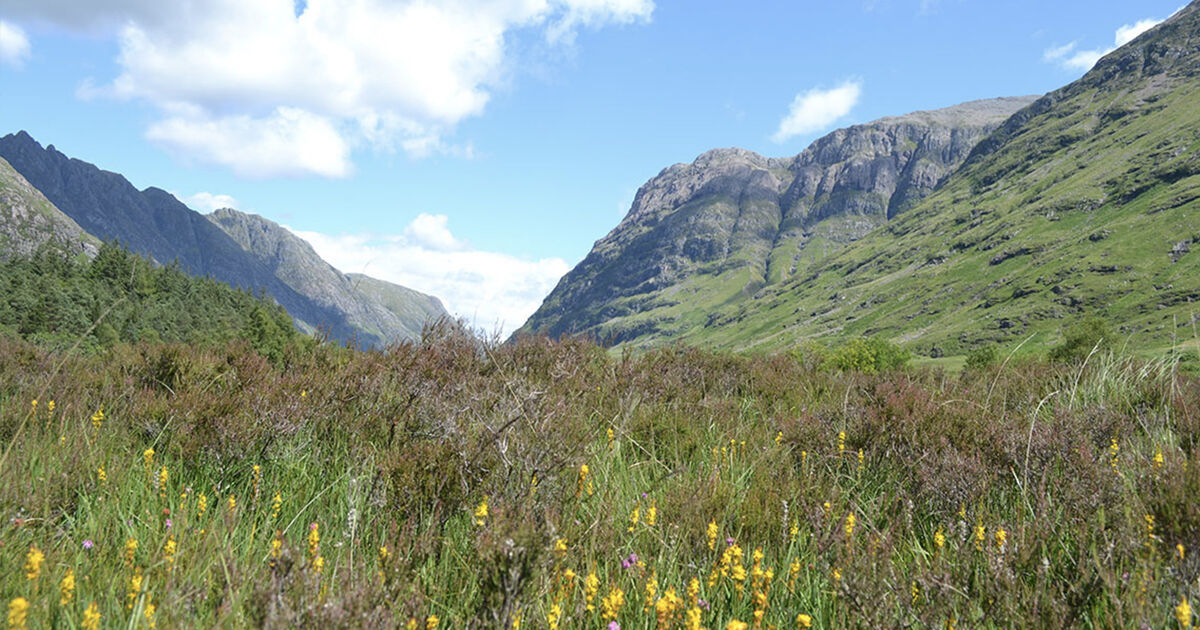 The Colin Donald Environmental Law… | National Trust for Scotland