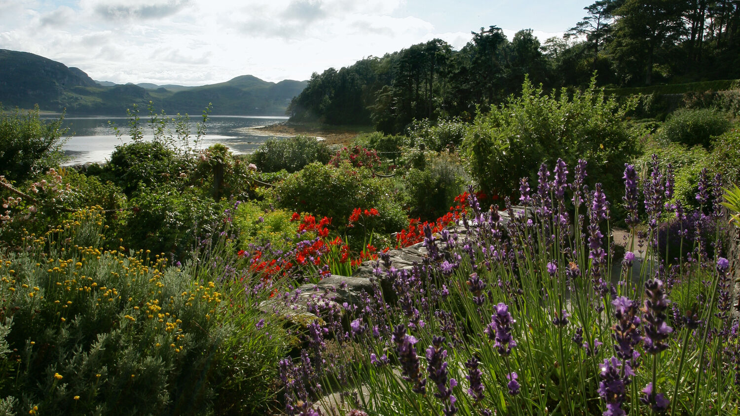 Celebrating young people in the… | National Trust for Scotland