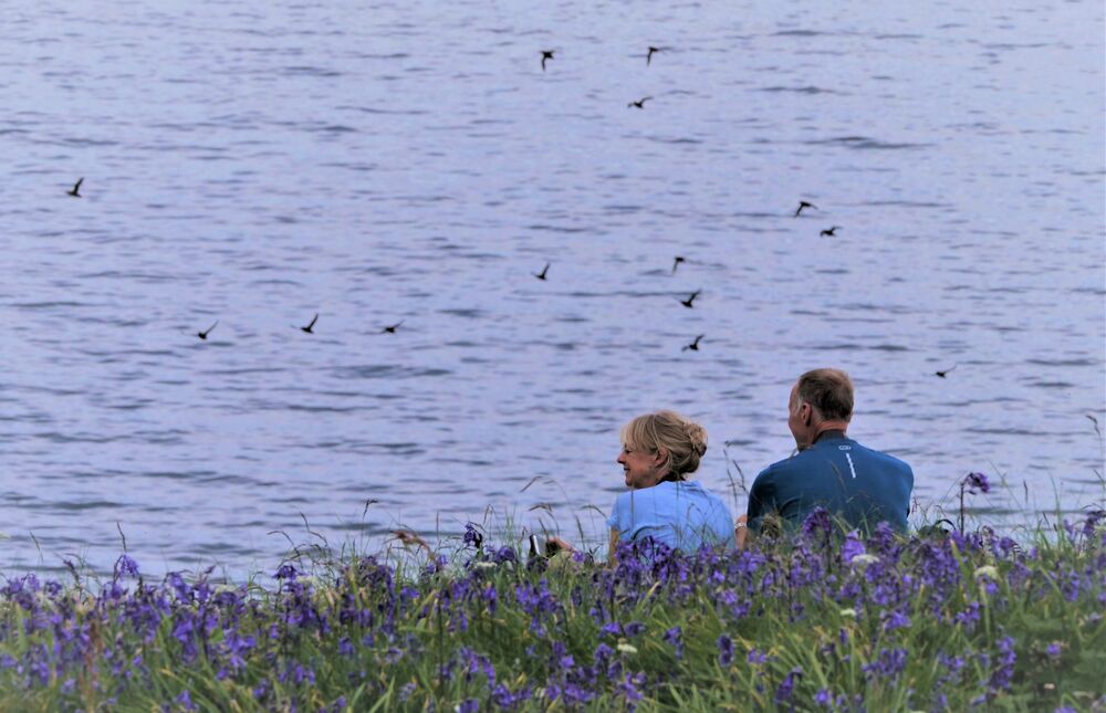 Staffa, a humbling island | National Trust for Scotland