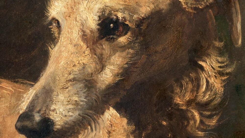Beloved pets of the Brodie family | National Trust for Scotland