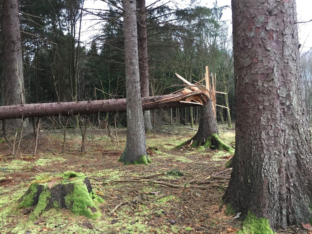 The architecture of decay | National Trust for Scotland