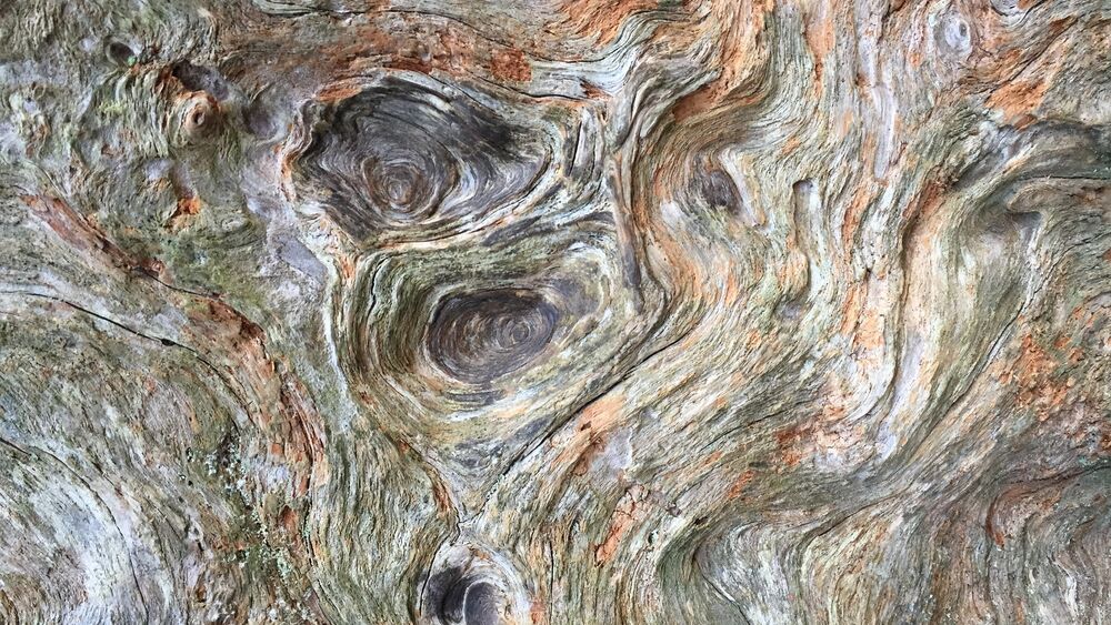 The architecture of decay | National Trust for Scotland