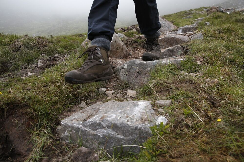 20-year project milestone for path… | National Trust for Scotland