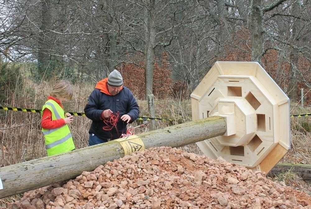 A new home for house martins | National Trust for Scotland