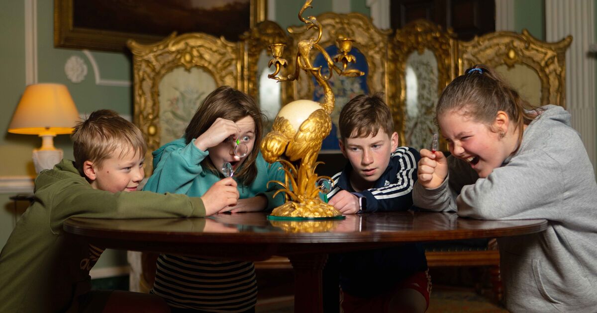 Budding young artists fly high at House… | National Trust for Scotland