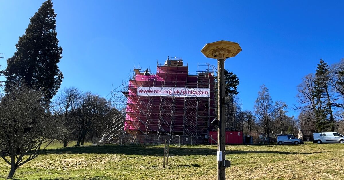 A new home for house martins | National Trust for Scotland