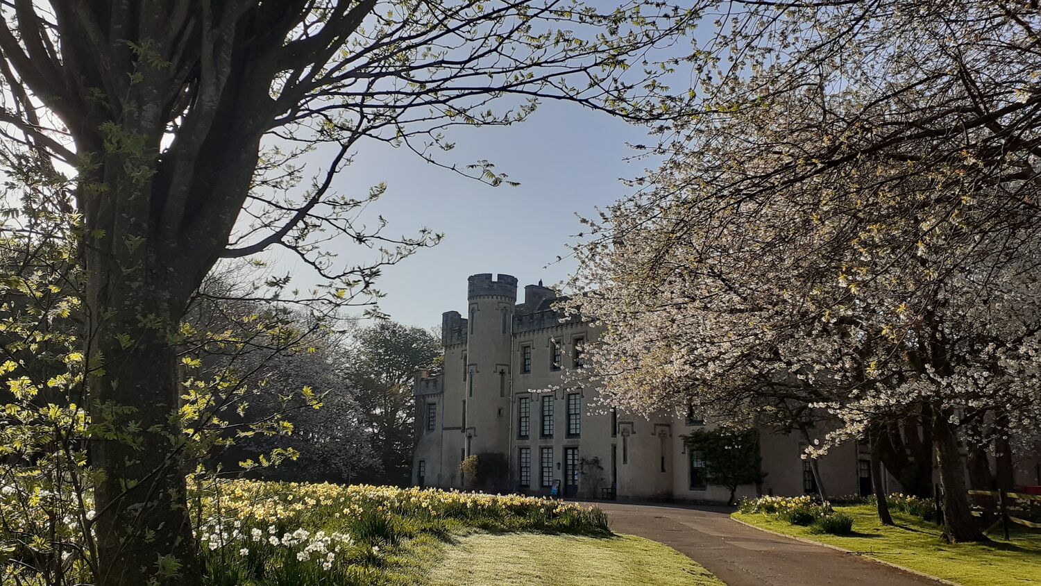 Bringing Back the Binns: behind the… | National Trust for Scotland