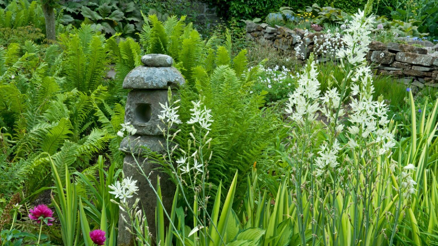 The PLANTS project: an artist’s garden… | National Trust for Scotland