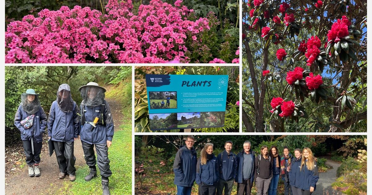 The PLANTS project: looking back,… | National Trust for Scotland