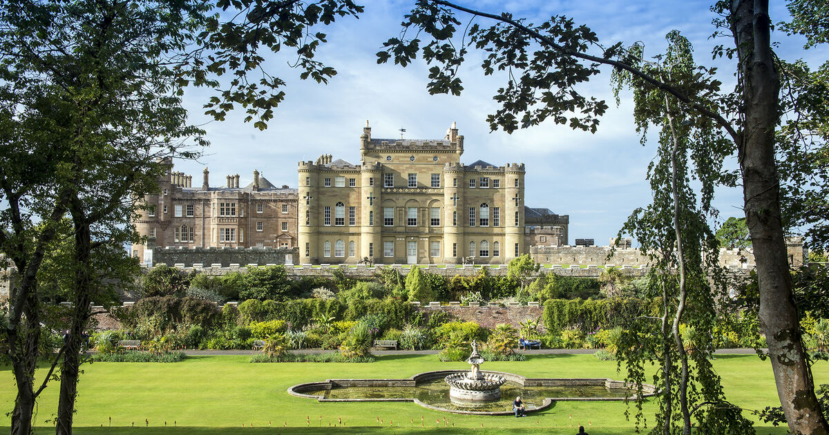 The PLANTS project: inventory at Culzean | National Trust for Scotland