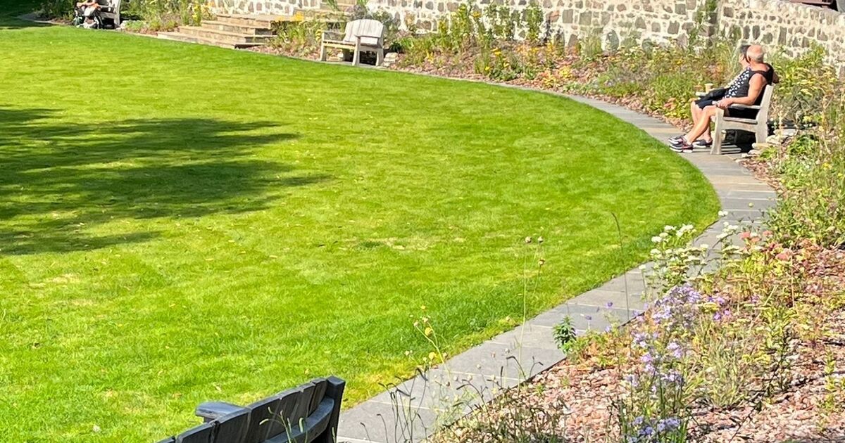 Inverewe House herbaceous border… | National Trust for Scotland