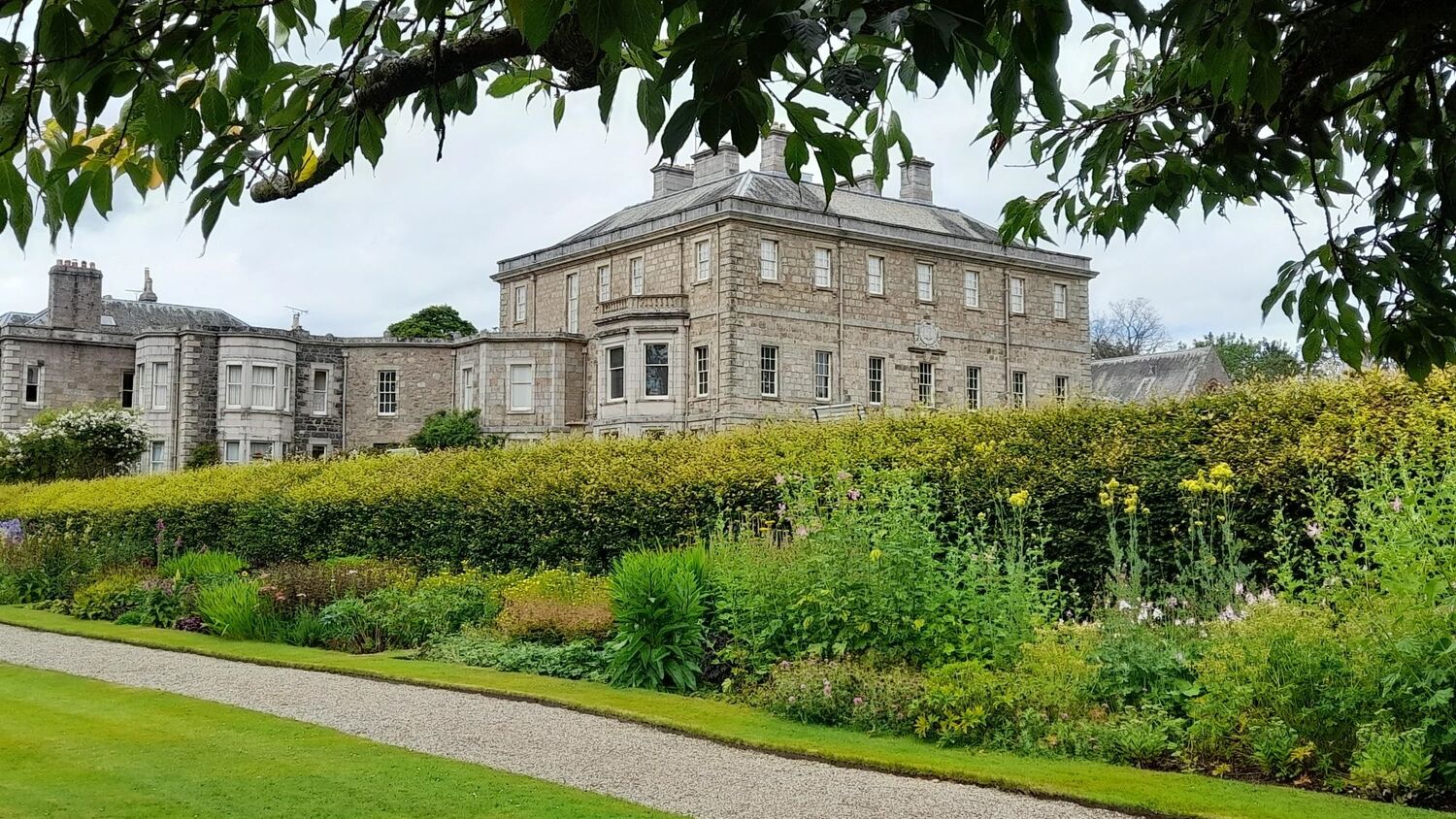 Ferns and finds at Haddo House Garden | National Trust for Scotland