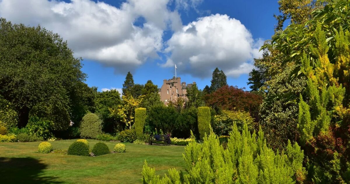 Crathes Garden blog #17: A passion for… | National Trust for Scotland