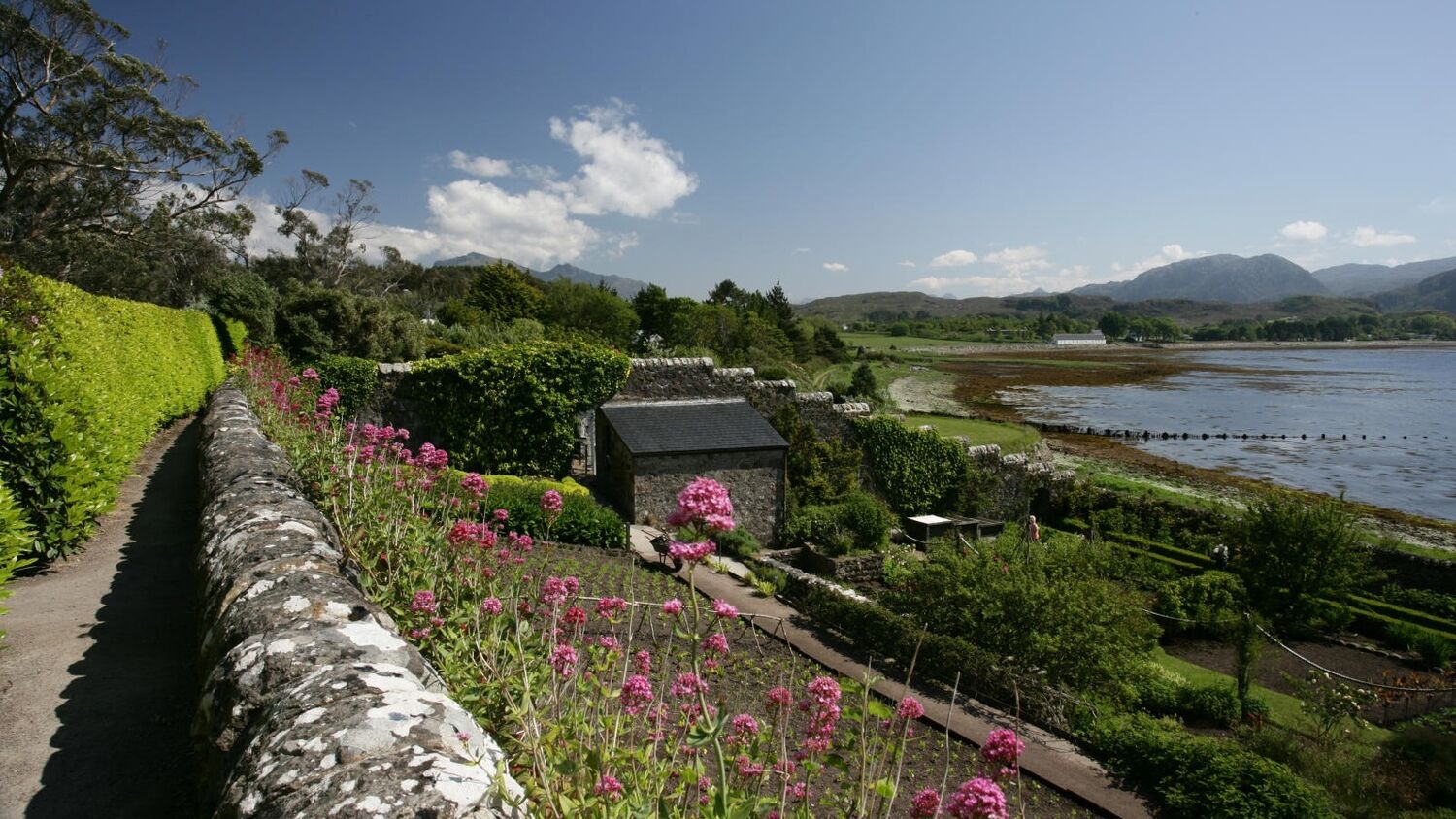 The PLANTS project: reflections on… | National Trust for Scotland